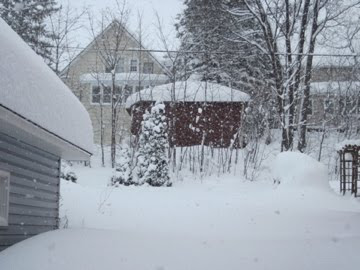 Malta Adventure: SNOW