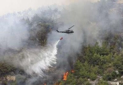 HISTORY IN IMAGES: Pictures Of War, History , WW2: AMAZING! The ...