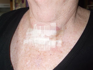 :: Waste Not Do Want: February 2009