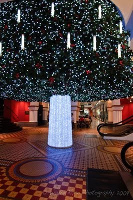 :: Waste Not Do Want