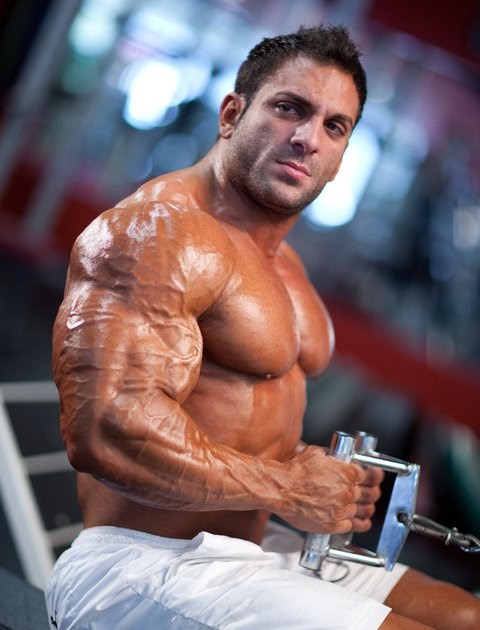 Muscle Lover: Handsome bodybuilder Armon Adibi