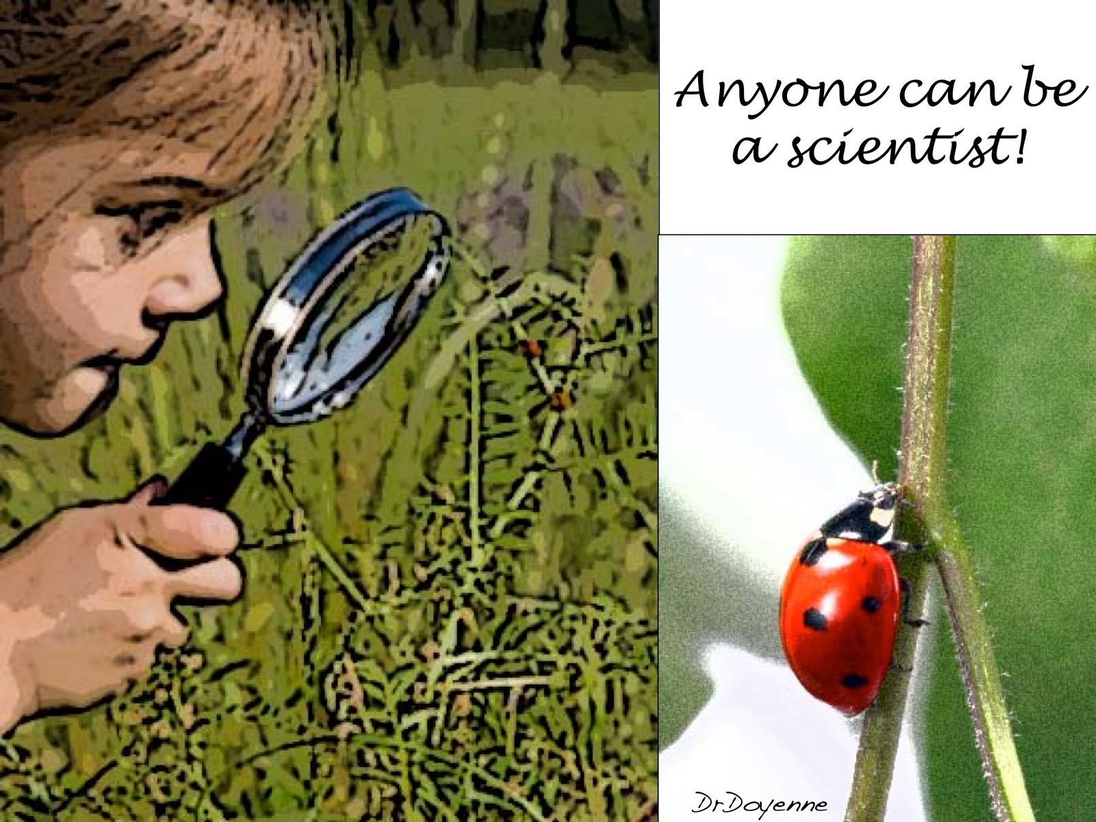 The Singular Scientist: Name Five Famous Women Scientists