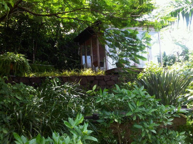 Wijaya Journal: MW ON THE ROAD — INDIA