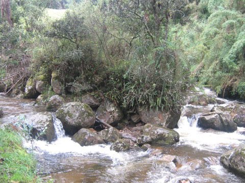 LA MANERA DE CUIDAR LO QUE TE RODEA: cambios de los rio fucha antes de ...