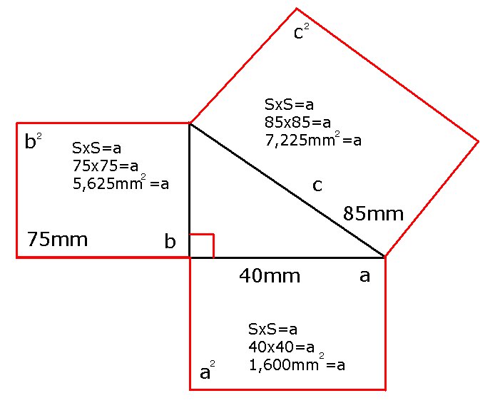 816 Math 2010: November 2010