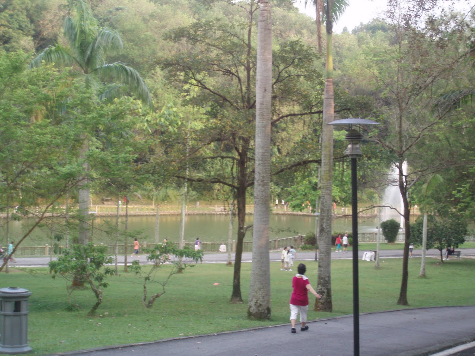 Inspired Momx1: TTDI Park (Taman Rimba Kiara Park)