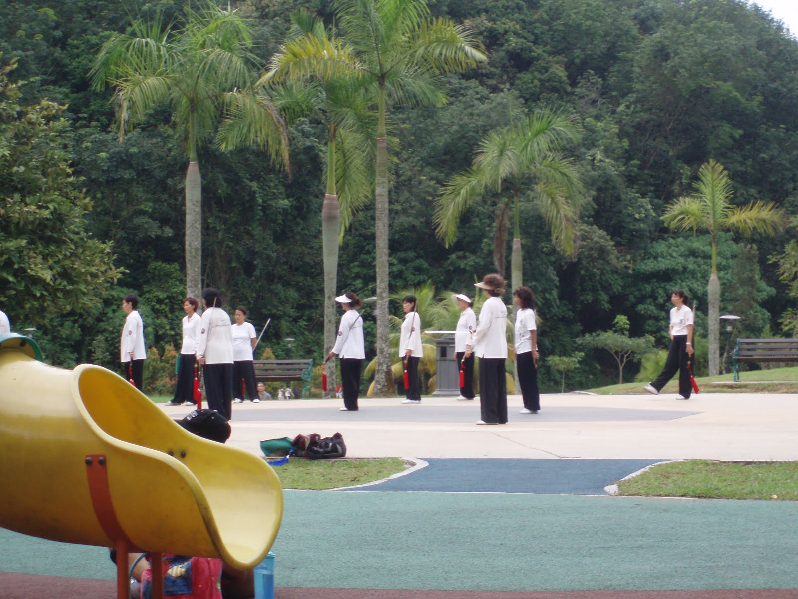 Inspired Momx1: TTDI Park (Taman Rimba Kiara Park) Revisited