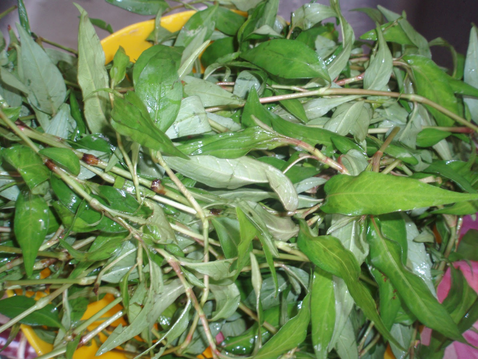 Inspired Momx1: Homemade Penang Assam Laksa