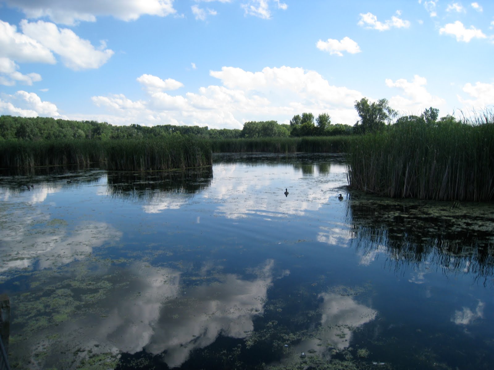 Blogtown: Ponds, Lakes, Rivers, and Oceans