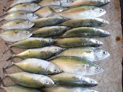 Sarawakiana@2: Sarawakian Local Delights : Ikan Kembong