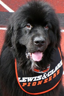 Lewis And Clark College Mascot