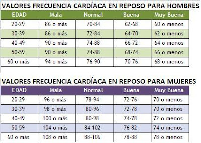 CienciasMC: El ritmo cardiaco