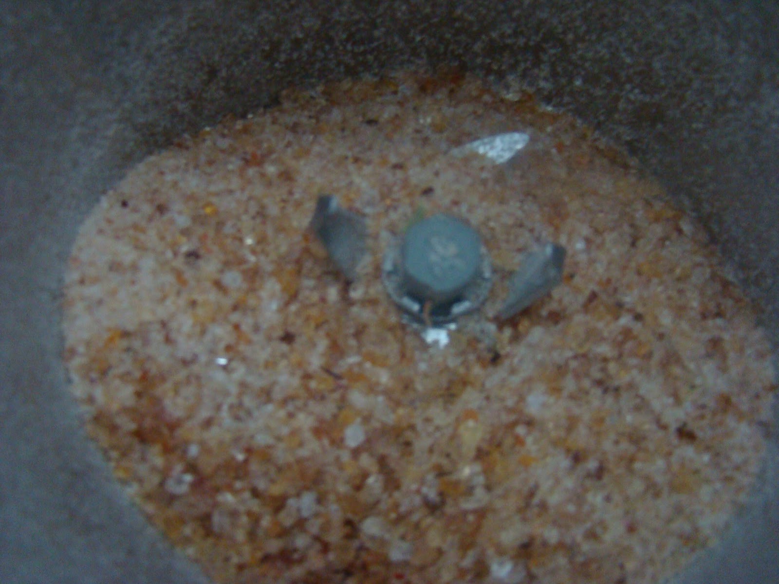 palate corner: dinkache laadoo/gond ke ladoo/edible gum sweet balls