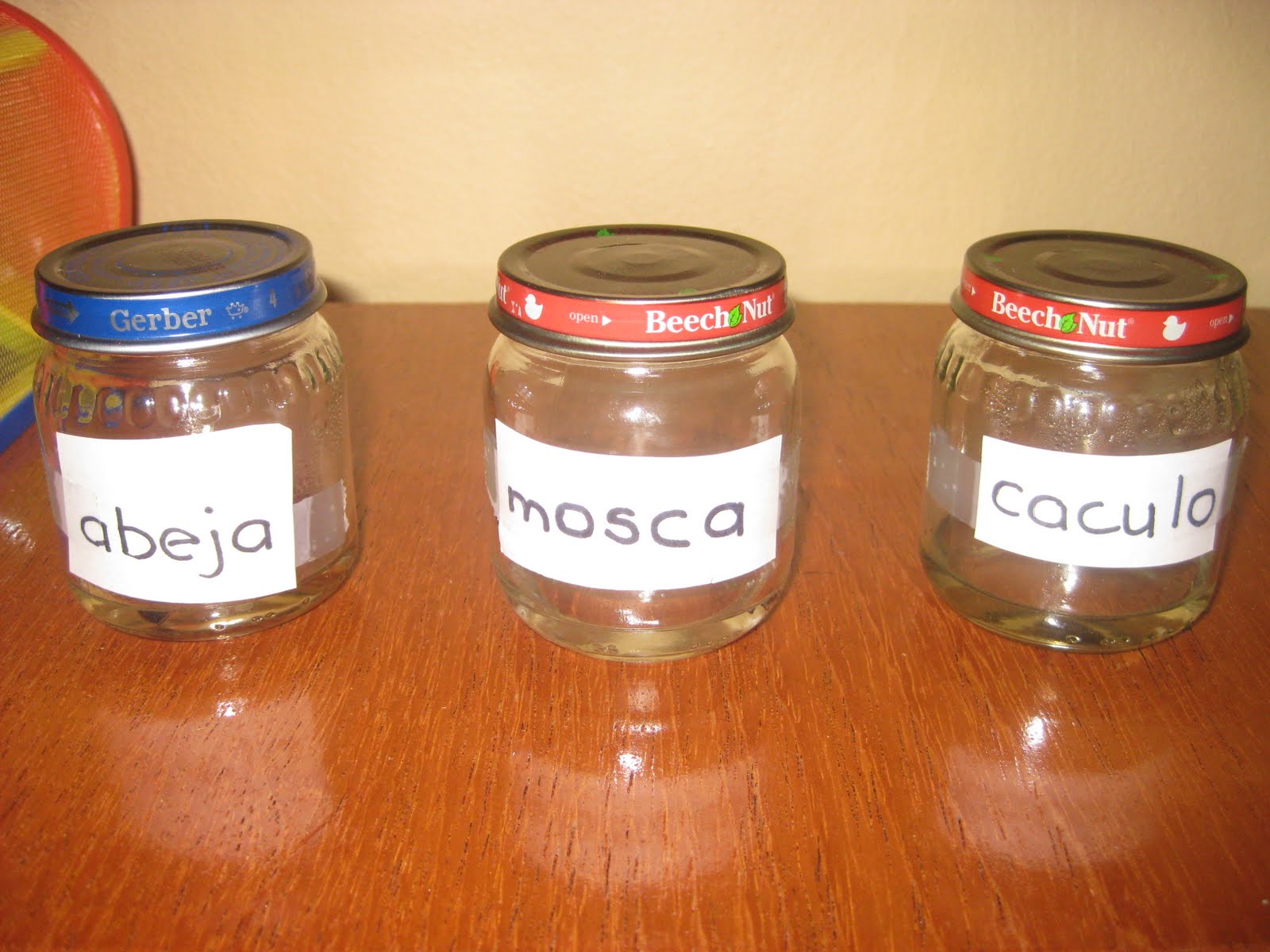 2 Pequeños Traviesos: Colección de Insectos / Insect Collection