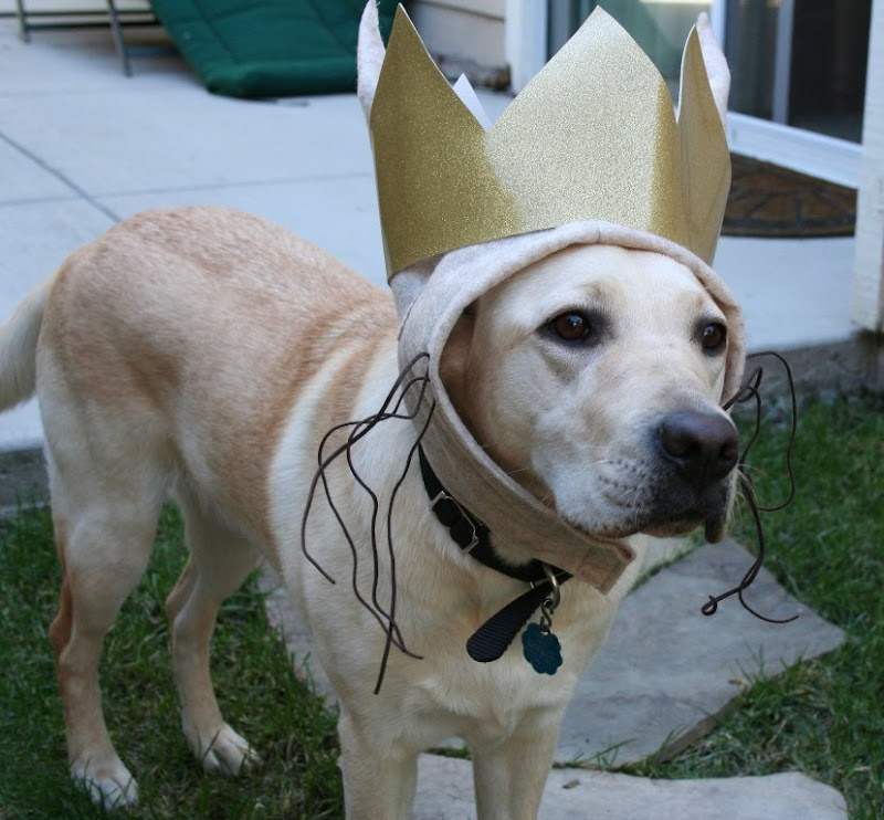 Ours for a Year: I'll Eat You Up, I Love You So