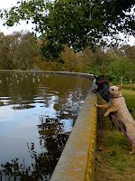David Pedersen: Central Park photos of Neutra Architecture & Water Features