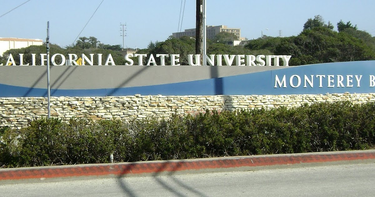 Blog Archives - tginternet