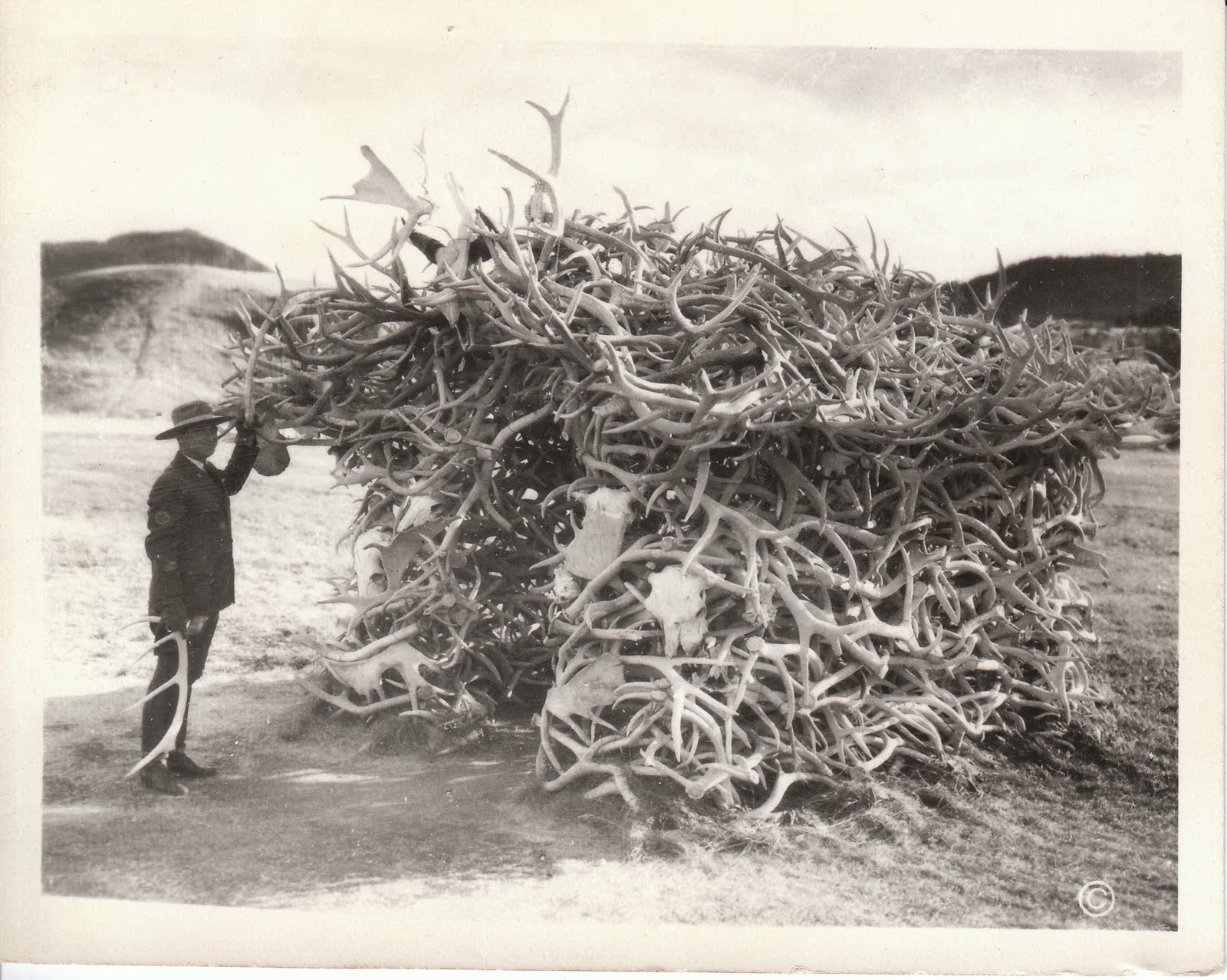 Frank Jay Haynes - Alchetron, The Free Social Encyclopedia