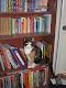 Kids' Bibliotheque: Pizza Storytime