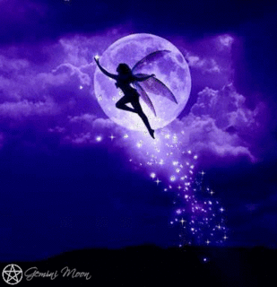 *..All AbouT FaIrY's and witches..*: Moon fairy..*//