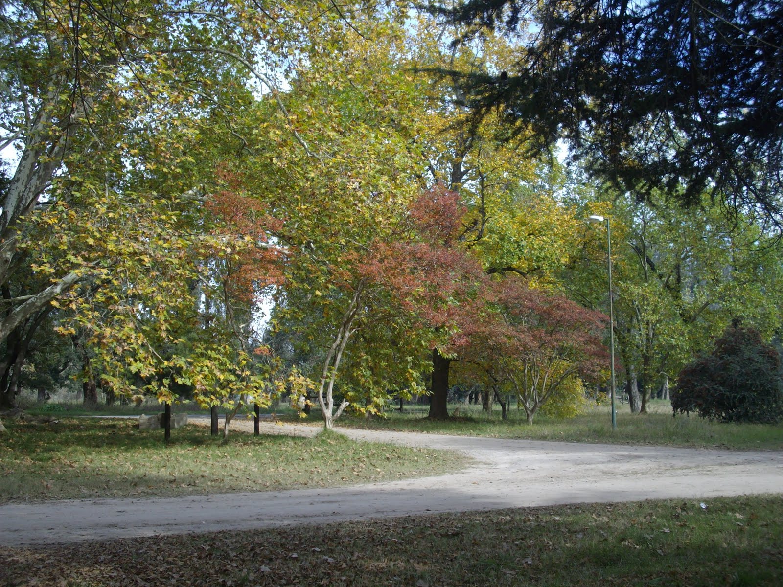 Mirar al Mundo: Más del Parque Pereyra Iraola