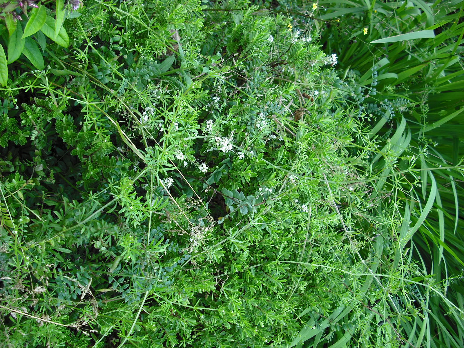 floating boater: Sticky Willy and other stories