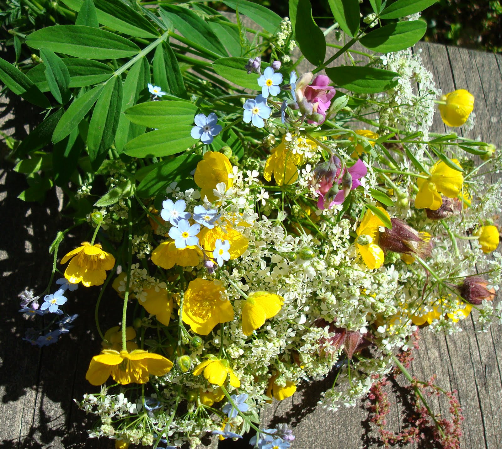 Petit Eyekiss: Vilda blommor /Wild flowers