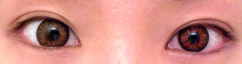 The Makeup Piggy : Circle Lens Review - EOS V205LB Hazel