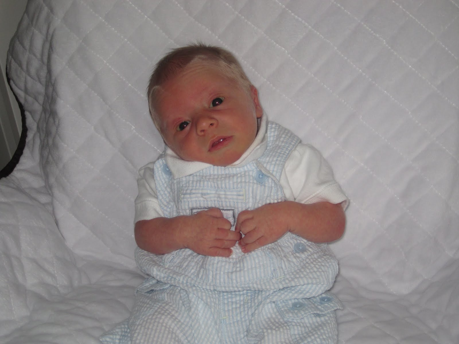 Little Q's Blog: Meet our new baby boy!