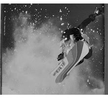 wild duck snowboards