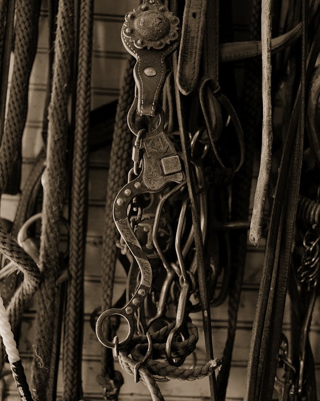 Gallagher Photography: Tack