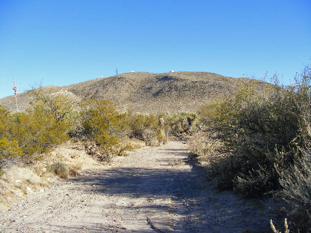 Desert Packrat: What Is An Arroyo?