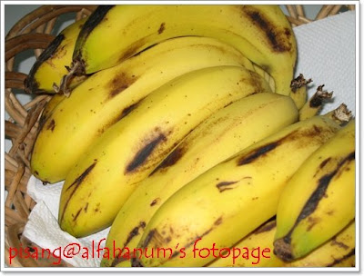 Pembekal Pisang-Banana Supplier