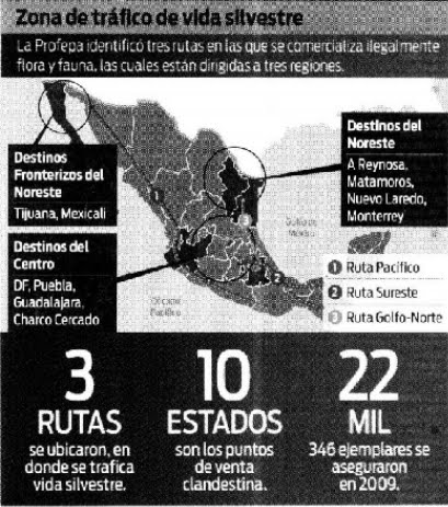 Fundación Ornitológica TXORI: Ubican rutas de tráfico de animales