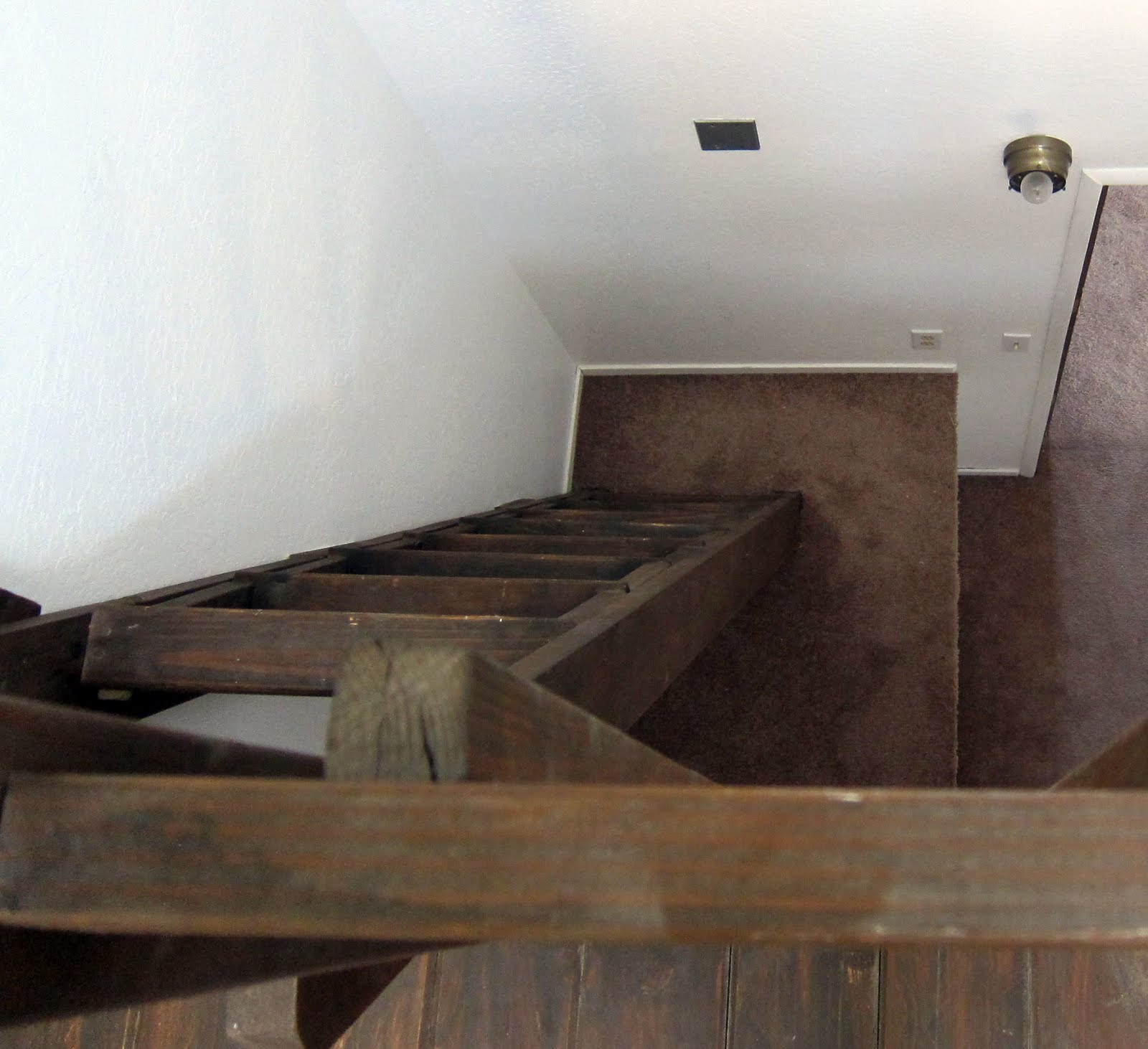 The Great Ladder House Project: July 2010