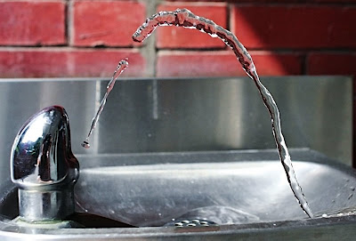 photography: high shutter speed