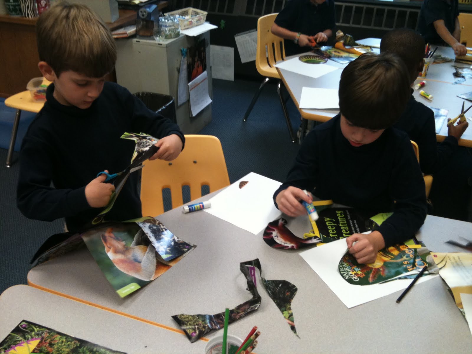 7th Age Science: Animal Collage