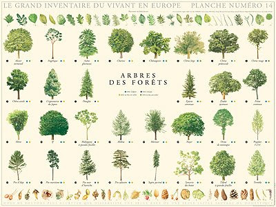 Sharon Loves This: french vintage posters