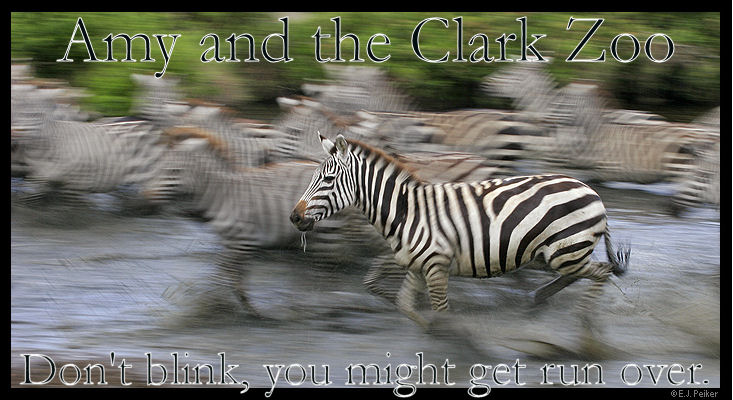 Amy and the Clark Zoo