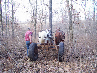 Ozarks Draft Horse Association: Homemade Logging Equipment