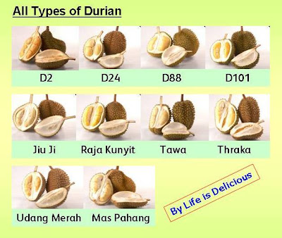 Life is Delicious: Durian Feast