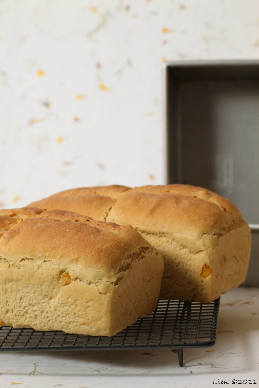 Notitie van Lien: Bread Baking Day #36 Corny bread