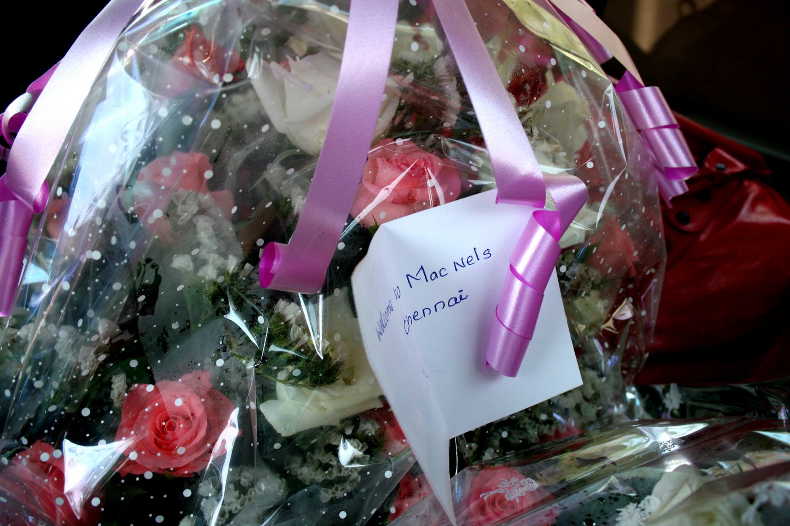 TWENTY SIX HOURS IN CHENNAI / POOBERRY SEEES | Pootsville