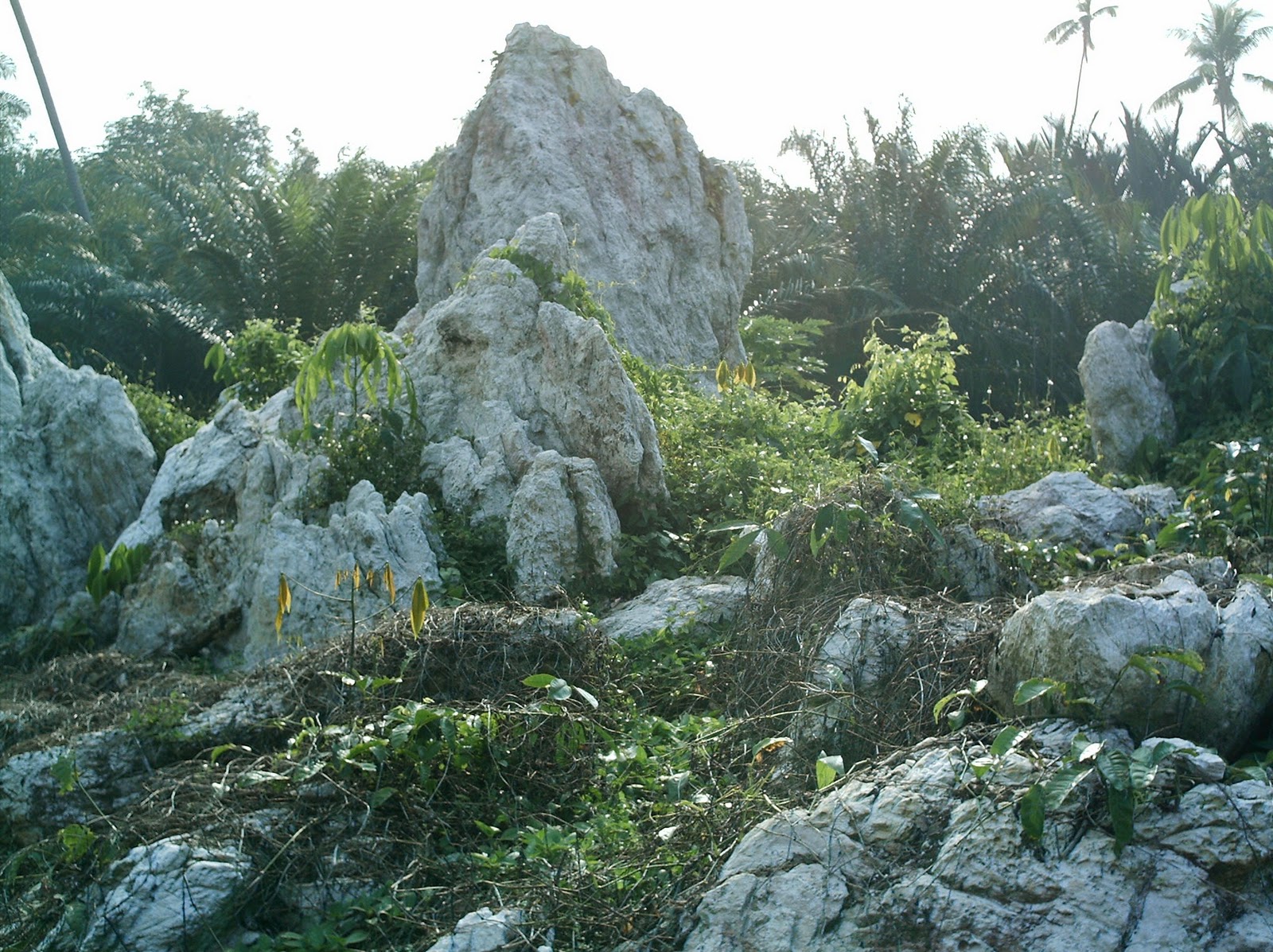 KAMPUNG BATU PUTEH: SEJARAH PENUBUHAN KAMPUNG BATU PUTEH