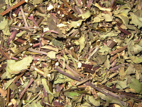 Emerald Garden: Misai Kucing Tea