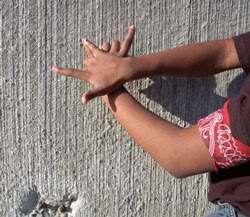 Blood Gang 5 Point Star Meaning