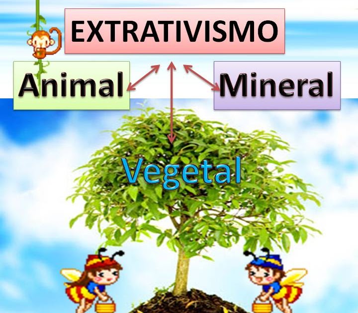 EXTRATIVISMO ~ Atividades
