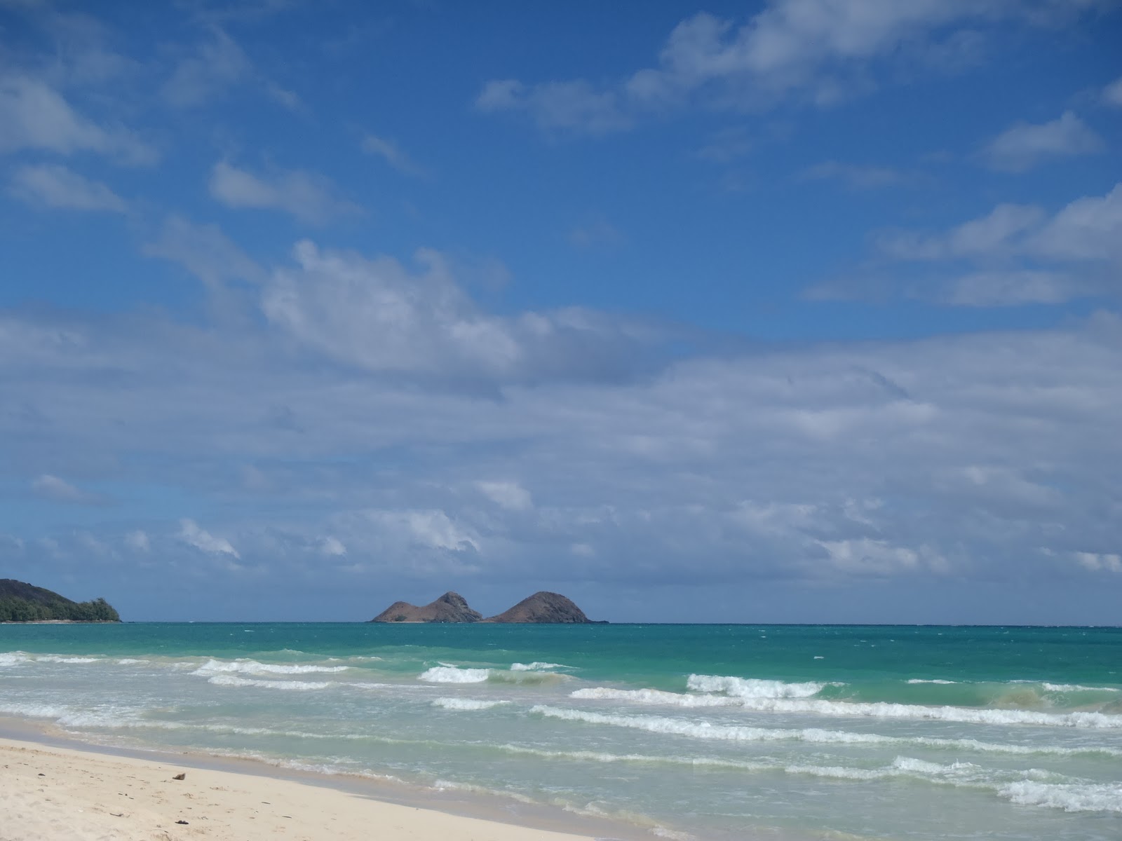 The Buzuleciu's in Hawaii: Bellows beach and some sightseeing!