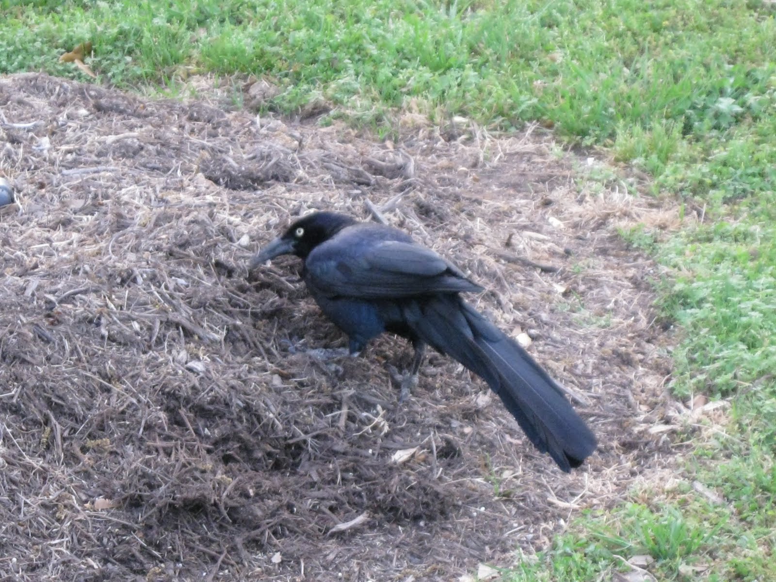 MAYBE BLOGGING WILL HELP: 2010 SPRING TOUR DIARY: Part Eight