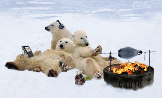 Blue Eyed Ennis: Polar Bears Chillin' Out